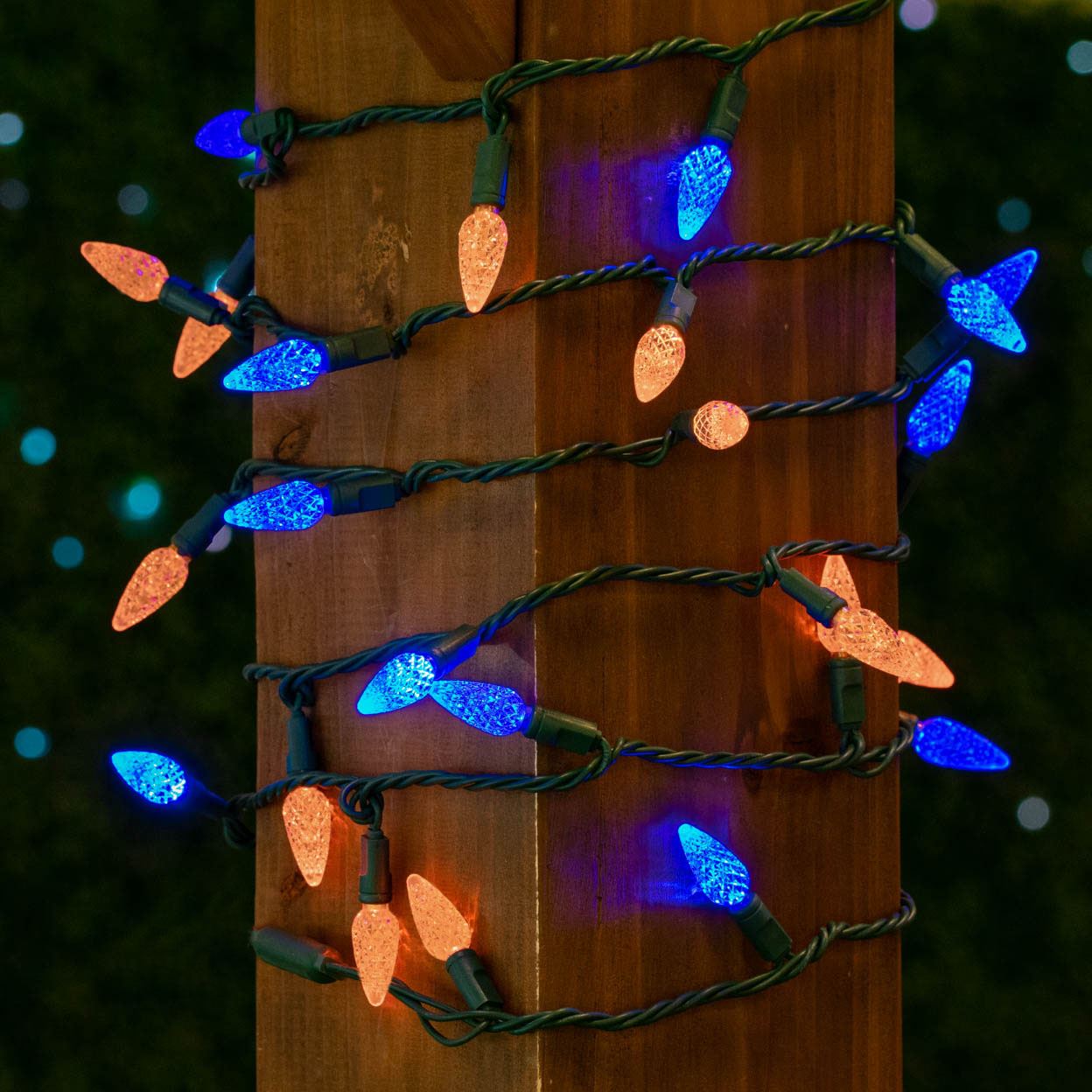 Christmas Lights | Novelty LightsCommercial C6 LED 70 Light Blue and ...